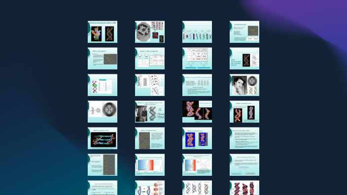 DNA MAIN by Guy Mejia on Prezi