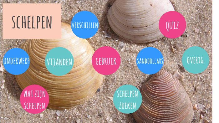 Spreekbeurt Schelpen by Emmelijn Alkema on Prezi