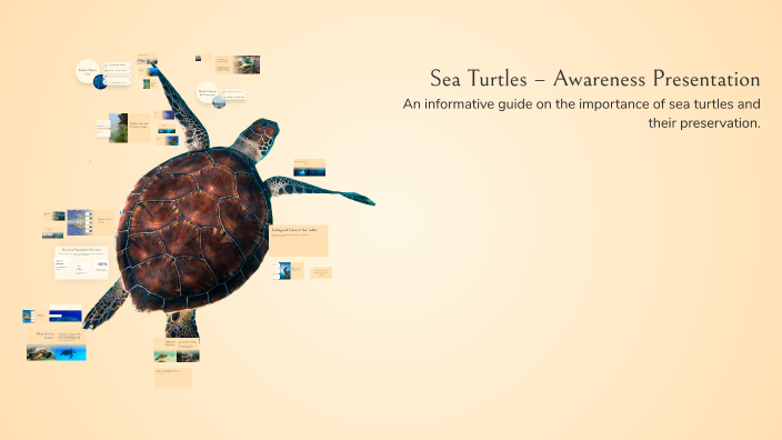 Sea Turtles – Awareness Presentation by deborah ve on Prezi