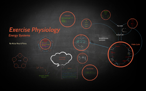 Exercise Physiology: Energy Systems by Alicia Adams on Prezi