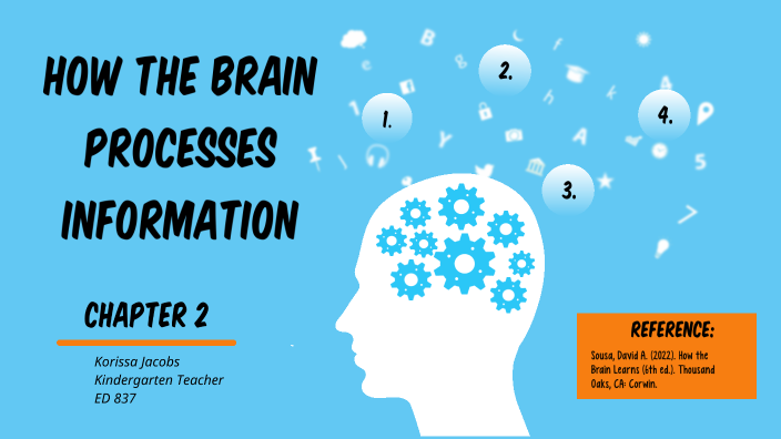 ED837 Module 2: How the Brain Processes Information by Korissa Jacobs ...