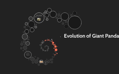 Evolution of Giant Pandas by Tiffany Pauls on Prezi