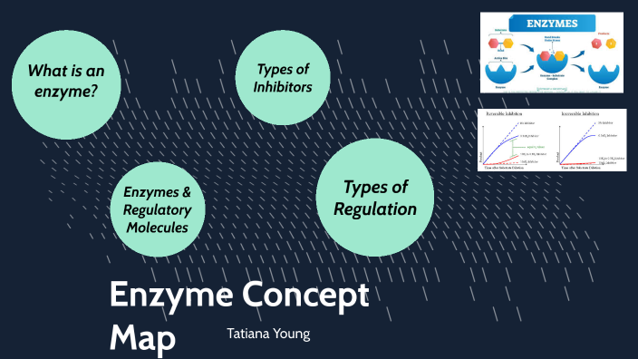 AP Biology: Enzyme Concept Map - Tatiana Y. by Tatiana Young on Prezi
