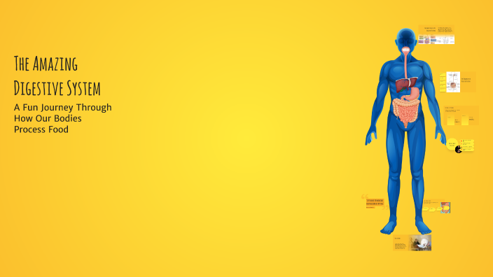The Amazing Digestive System by paulino gomez on Prezi