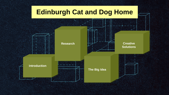 Edinburgh Cat and Dog Home by Kayla Squires on Prezi