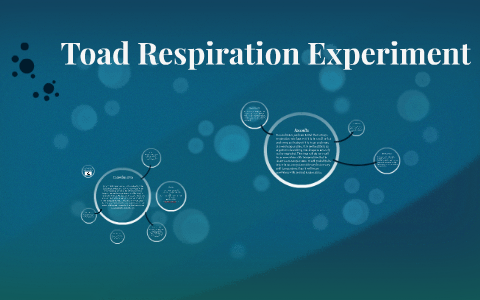 Toad Respiration Experiment by Ricky Bobby on Prezi