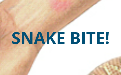 SNAKE BITE CARTOON by Andrew Croft on Prezi Next