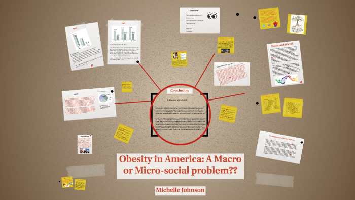 Obesity in America: A Macro or Micro-socio problem?? by michelle ...