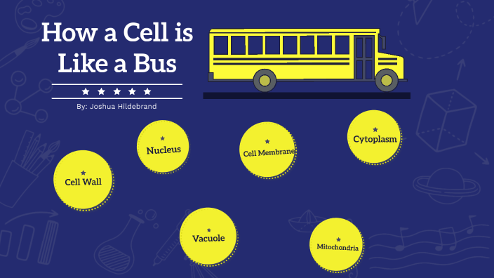 How a Cell is Like a Bus by Joshua Hildebrand on Prezi