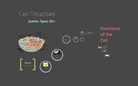 Cell Structure and Functions by Jasmine Robinson on Prezi