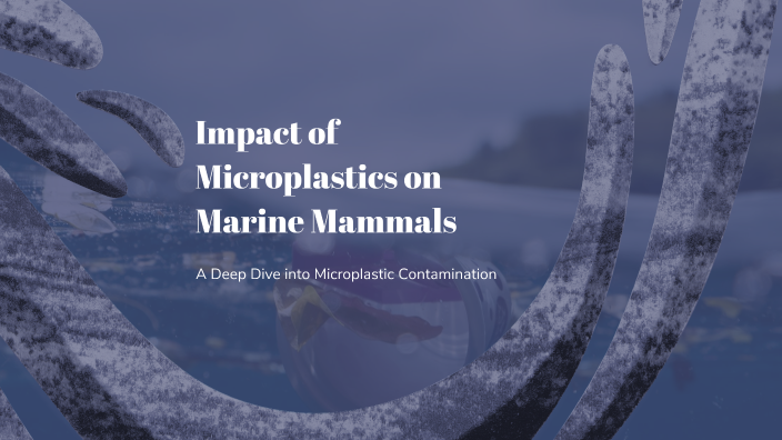 Microplastics in Marine Animals by luciana ortiz on Prezi