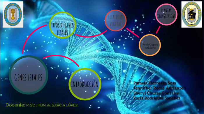 GENES LETALES by Fernandez Duran Abel on Prezi