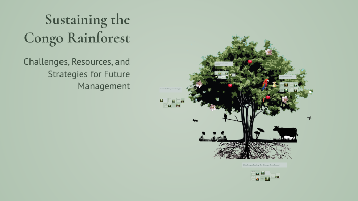 Sustaining the Congo Rainforest by Samuel Banks on Prezi