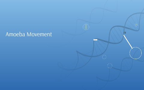 Amoeba Movement by Luke _ on Prezi