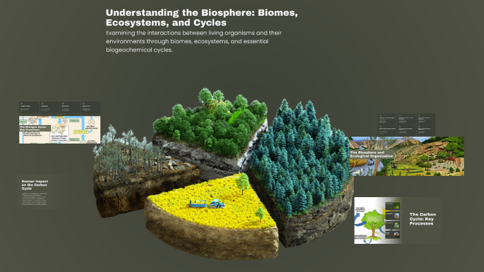 Understanding the Biosphere: Biomes, Ecosystems, and Cycles by Md ...