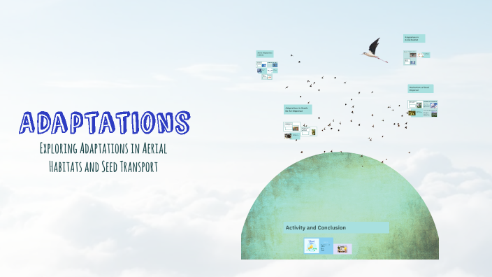 Adaptations in Aerial Habitat by Renell D'souza on Prezi