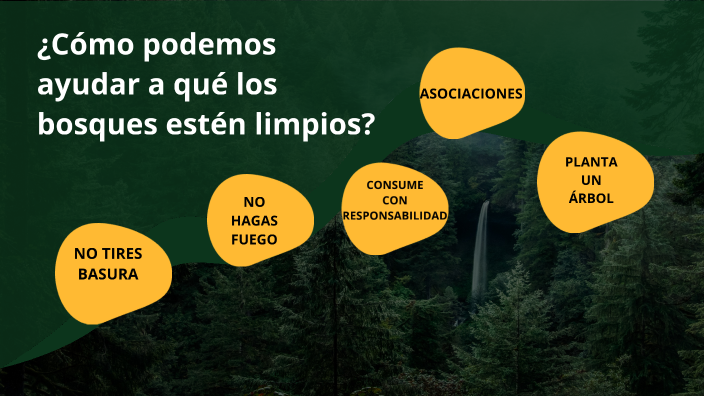 AYUDAR A TENER BOSQUES LIMPIOS by ALMUDENA SÁNCHEZ CASTILLO on Prezi