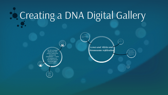 Creating a DNA Digital Gallery by stephanie hunter on Prezi