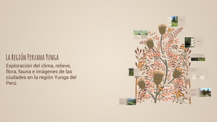 La Región Peruana Yunga by Manu Aristizabal on Prezi
