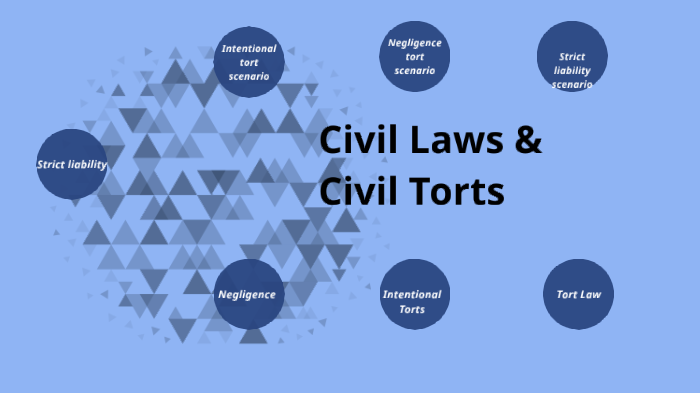 Civil Law/ Civil Tort project by Brandon Smith on Prezi