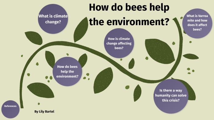 How do bees help the environment? by Lily Bartel on Prezi
