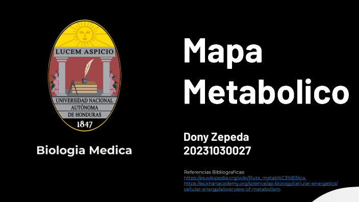 Mapa Metabolico by dony zepeda on Prezi