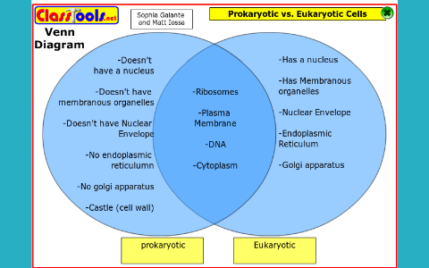 Eukaryotic and Prokaryotic Venn Diagram by Matthew Iossa on Prezi