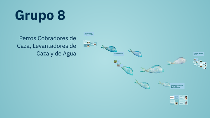 Grupo 8 de la FCI by Nathalia Andrea on Prezi