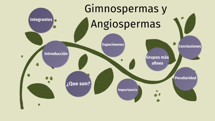 Gimnospermas y angiospermas by andre midence on Prezi