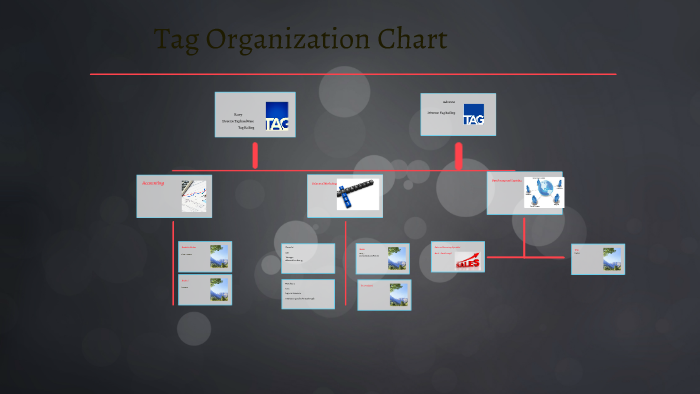 Company Organization Chart by Harry Madan on Prezi
