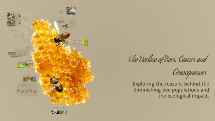 The Decline of Bees: Causes and Consequences by silvestras savosto on Prezi