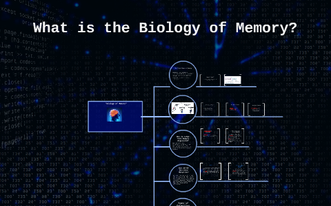 What is the Biology of Memory? by Antonio Duenez on Prezi