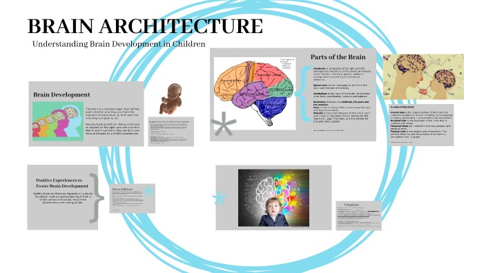 BRAIN ARCHITECTURE by Olivia Oswin on Prezi
