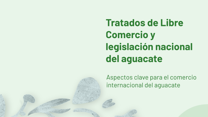 Tratados de Libre Comercio y legislación nacional del aguacate by ...