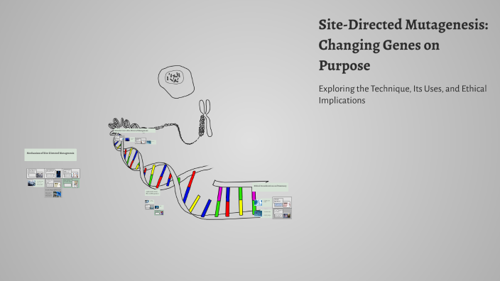 Site-Directed Mutagenesis: Changing Genes on Purpose by Veronica Tadros ...