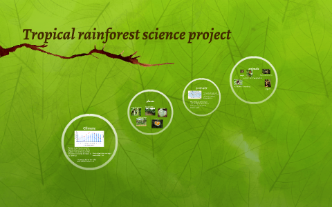 Tropical rainforest science project by Sebastian Lima on Prezi