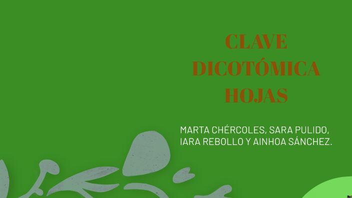 Dichotomous Key for Leaf Identification by AinhoaSCHZ on Prezi