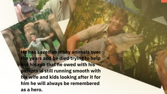 The Life and Legacy of Steve Irwin by Brandon Lyon on Prezi