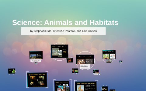 Science: Animals and Habitats by on Prezi