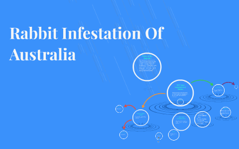 Rabbit Infestation Of Austrailia by on Prezi