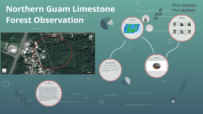 Northern Guam Limestone Forest Observation by Paul Abadam on Prezi