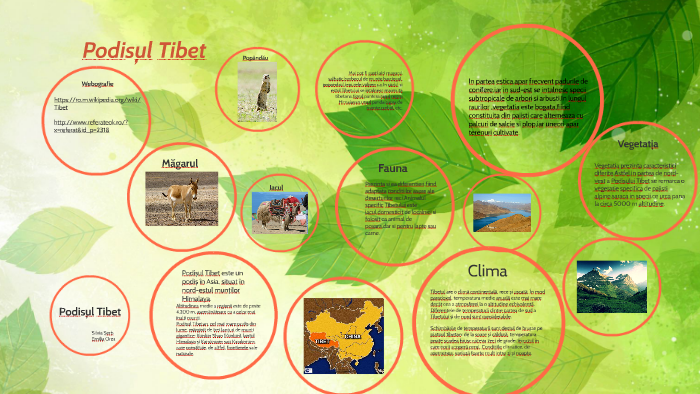 Podişul Tibet by Silvia Serb on Prezi