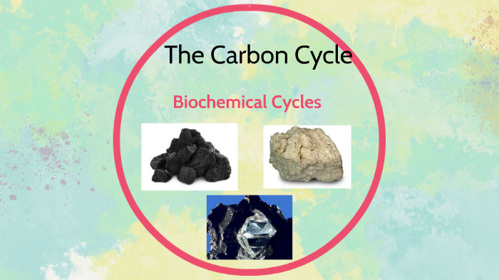 Biochemical Cycles by jasmine Peterson on Prezi