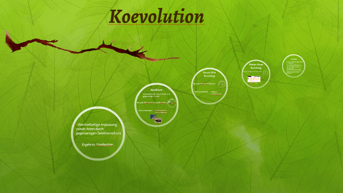 Koevolution by Luis Kraus on Prezi