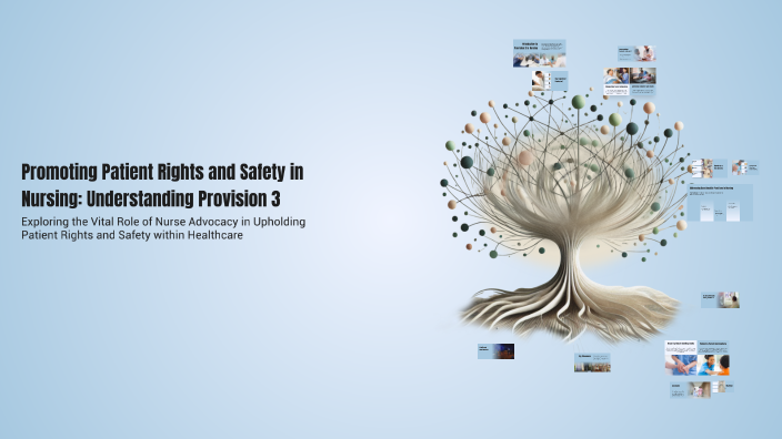 Promoting Patient Rights and Safety in Nursing: Understanding Provision ...