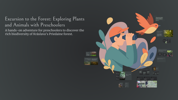 Excursion to the Forest: Exploring Plants and Animals with Preschoolers ...