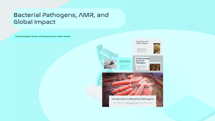 Bacterial Pathogens, AMR, and Global Impact by Sneha Chandel on Prezi