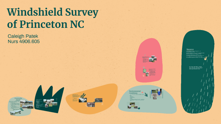 Windshield/Walking Survey by Caleigh Patek on Prezi