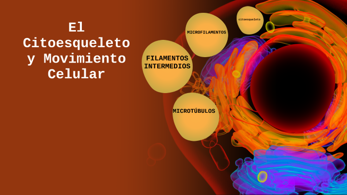 citoesqueleto y movimiento by JUAN DAVID ESCOBAR GIRALDO on Prezi
