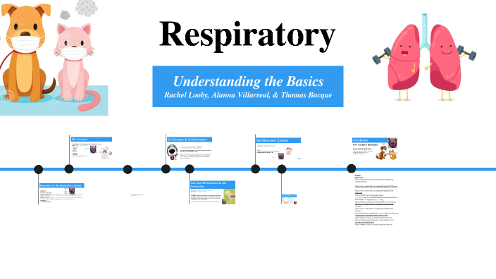 Respiratory by RACHEL LOOBY on Prezi
